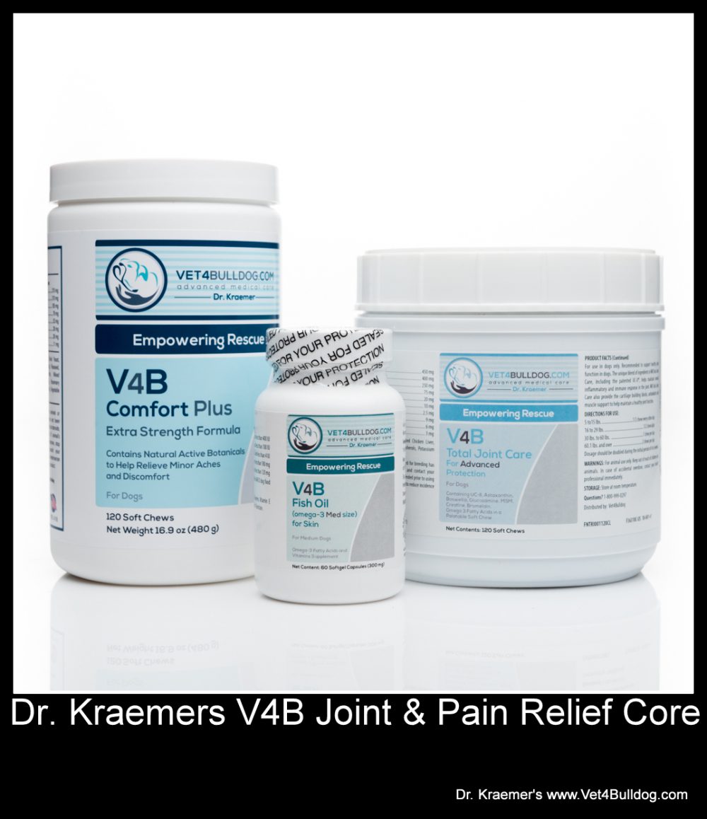 Bulldog and French Bulldog Hip dysplasia and Surgery