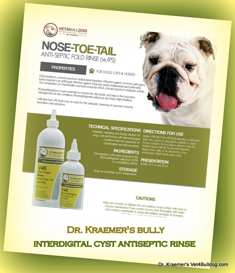 Bulldog Paw Interdigital Cyst Surgery or Not Cyclosporin Treatment