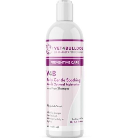 Flank Baldness Seasonal Alopecia in Bulldog Basic Care - VET4BULLDOG