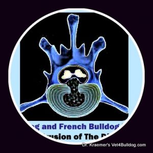 French Bulldog Health Issues The Expert Guide⚕️- VET4BULLDOG